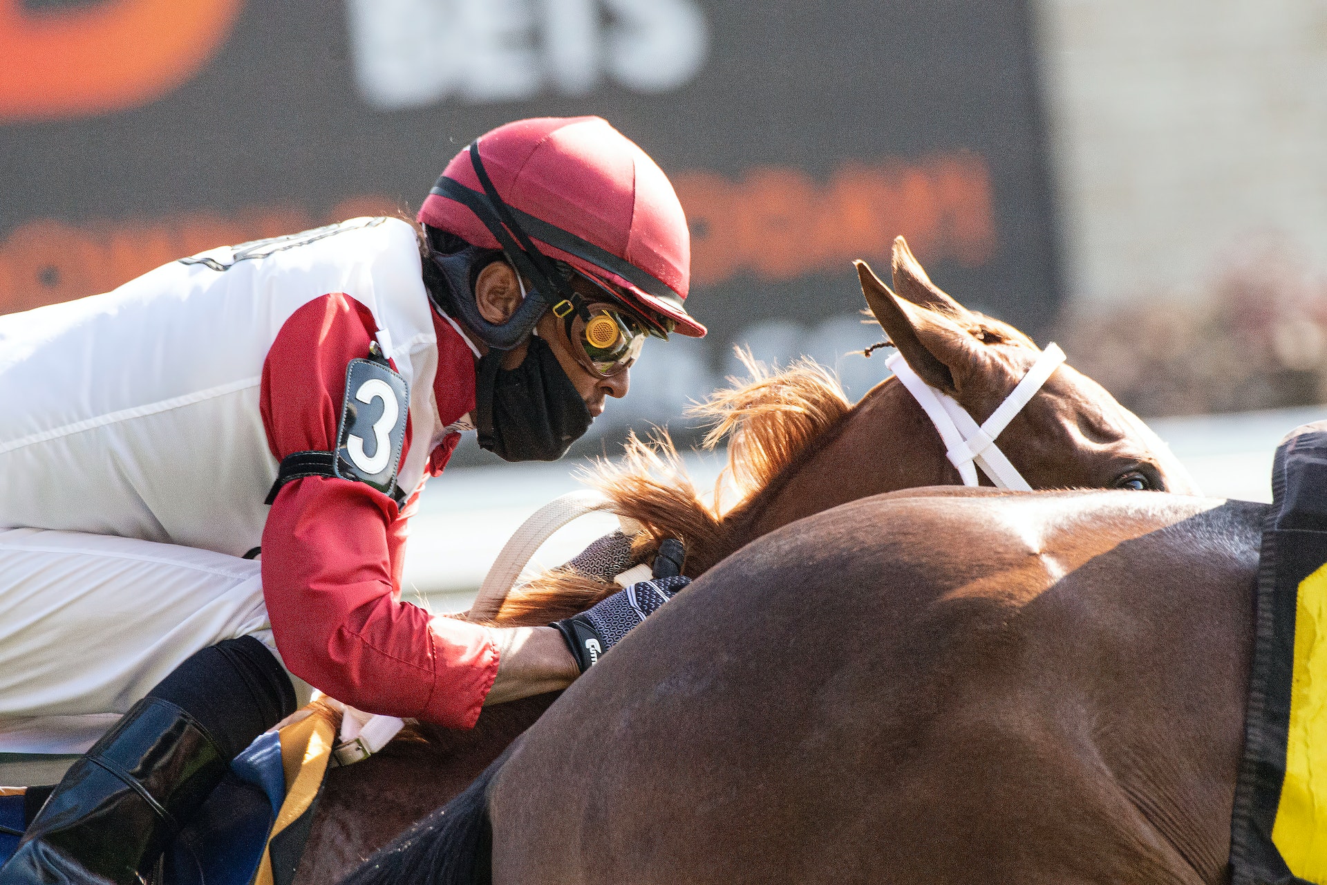 Cheltenham, UK: Beyond the Festival – In Your Pocket Travel Blog